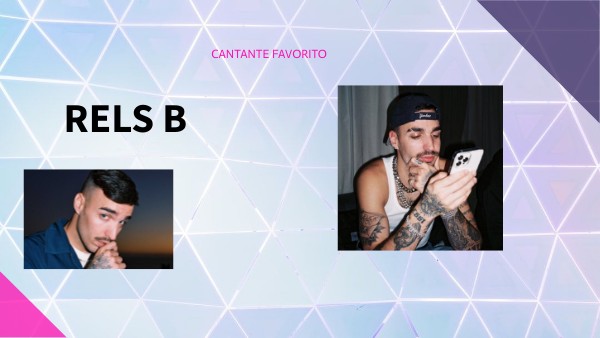 PRESENTACIÓN DE RELS B