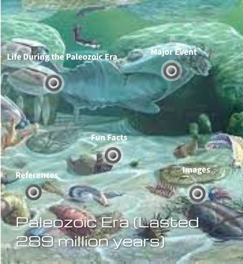 Paleozoic Era (Jerry Xie) | Genially