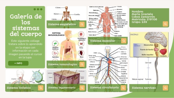 MGCZ_EV3_BELS | Genially