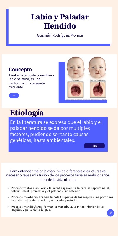 INFO PALADAR Y LABIO HENDIDO | Genially