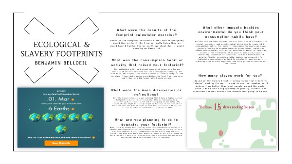 Individual assessment | Ecological & slavery footprints | Genially