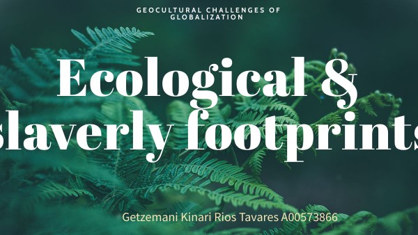 A00573866_Ecological_slavery_footprints | Genially