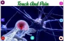 Touch and Pain