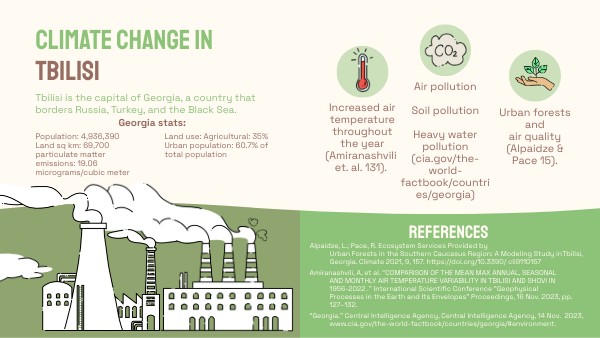 POLLUTION HORIZONTAL INFO | Genially