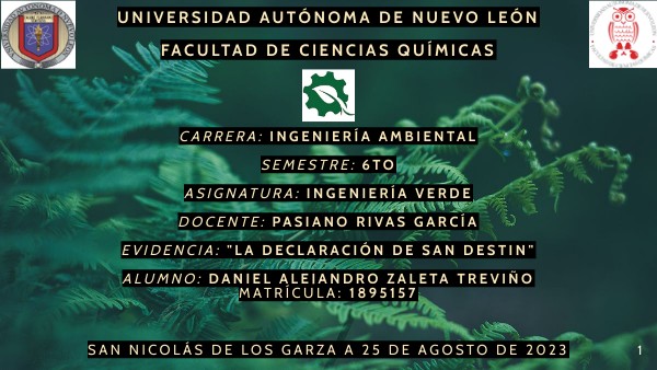 La Declaración de San Destin