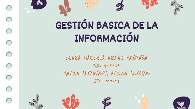 Gestion Basica de la Informacion