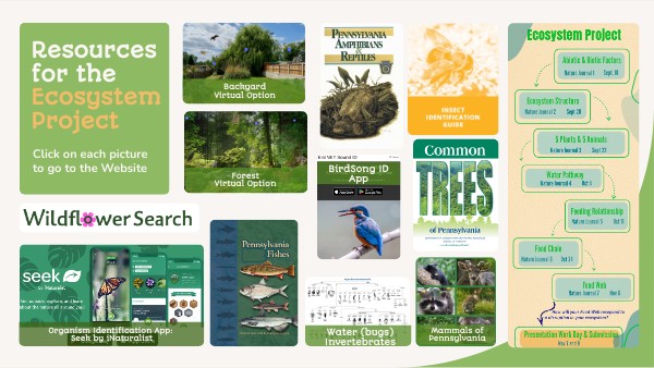 Resources for the Ecosystem Project