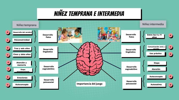 Mapa Mental Niñez temprana e intermedia | Genially