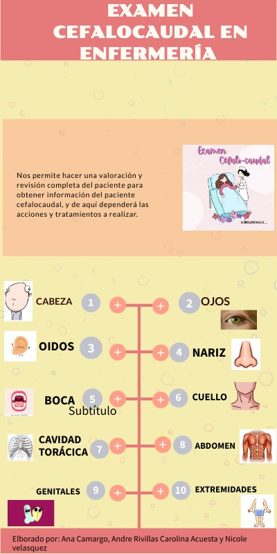 INFO VERTICAL CÉLULAS | Genially