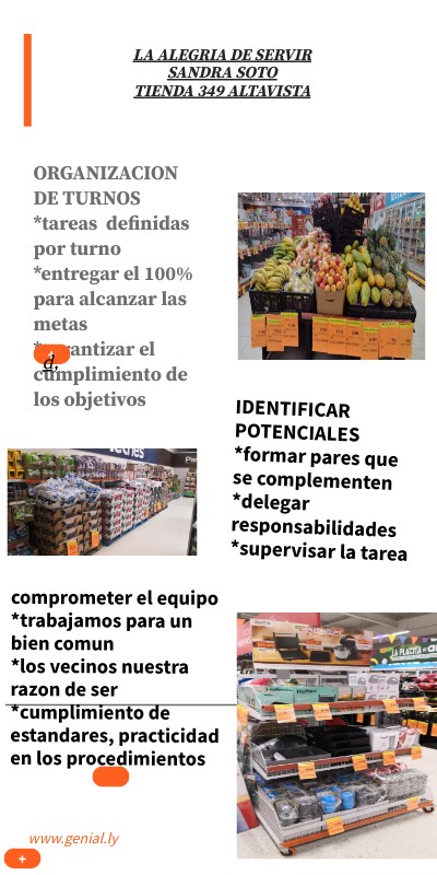 infografia sandra soto