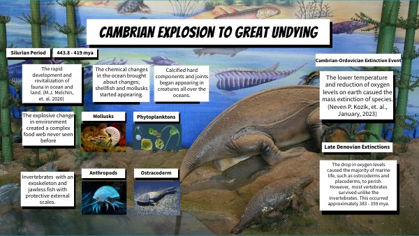 From the Cambrian Explosion to the Great Undying