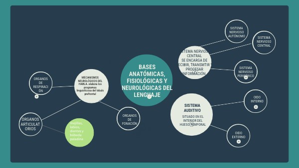 MAPA CONCEPTUAL CIRCULAR | Genially