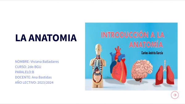 La Anatomía | Genially