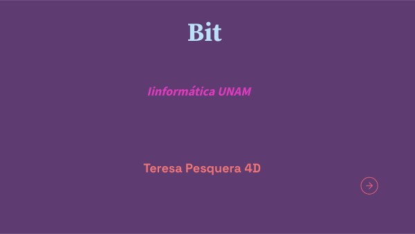 4C Bit Teresa Pesquera