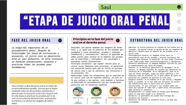 “etapa De Juicio Oral Penal”