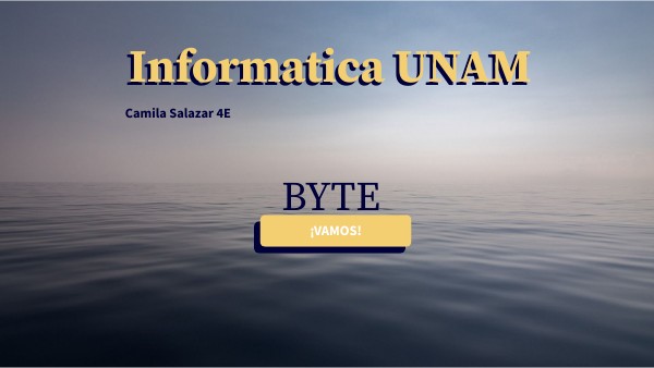 4E Bit Camila Salazar