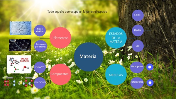 MAPA MENTAL ESQUEMA CIRCULAR | Genially