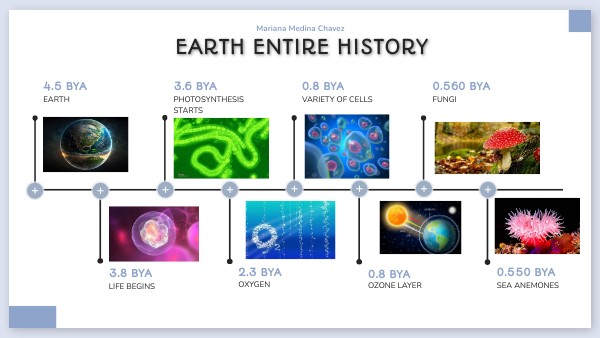 TIMELINE EDU COLOR | Genially