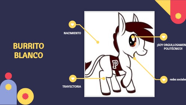 TAREA 2.5 BURRITO BLANCO