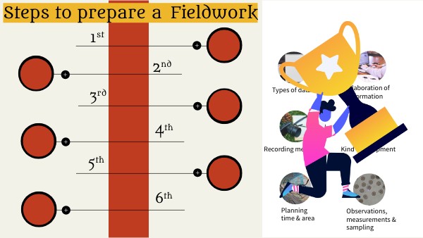 Steps to prepare a Fieldwork