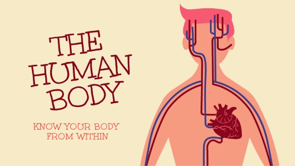 Human Body Curiosities