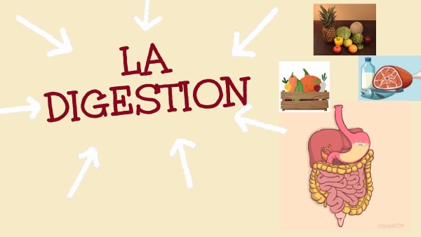 CAP - La digestion | Genially