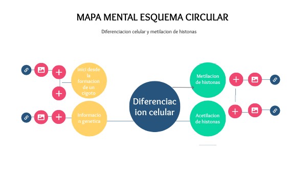 MAPA MENTAL ESQUEMA CIRCULAR | Genially