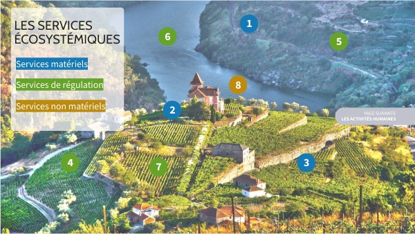 Les services écosystémiques