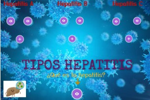 TIPOS DE HEPATITIS - GENIA | Genially