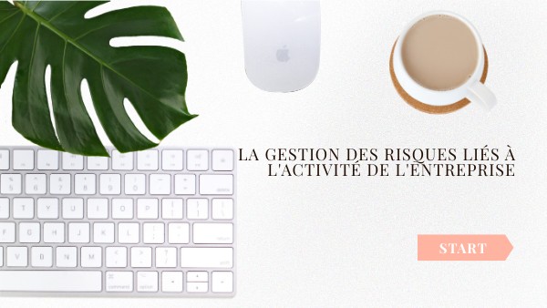 La gestion des risques | Genially