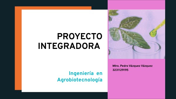 PROYECTO INTEGRADORA ING | Genially