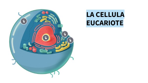 INTERACTIVE CELL POSTER | Genially