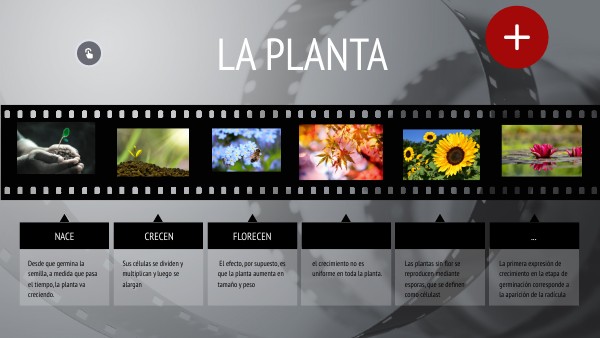 FOTOGRAMA, GRUPO 4 | Genially