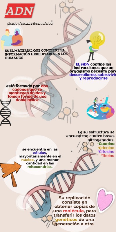 DNA VERTICAL INFO