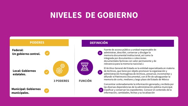 NIVELES DE GOBIERNO