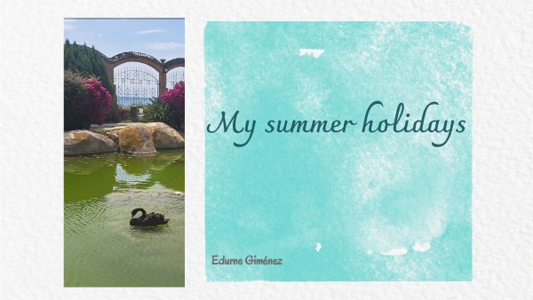 My summer holidays