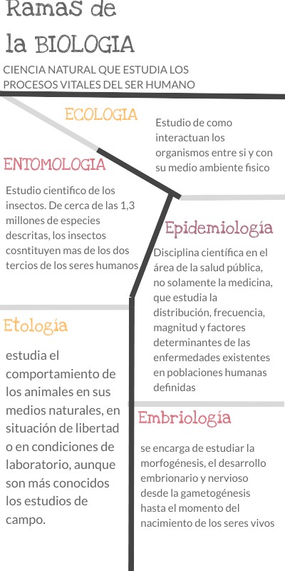 ramas d la biologia d.m.t | Genially