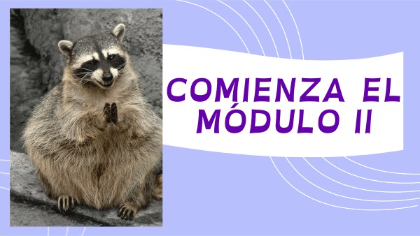 PRESENTACION MÓDULO II | Genially