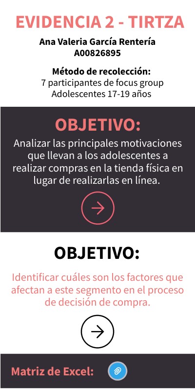 Tirtza Focus Group Insights