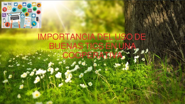 PRESENTACION DE LAS TICS