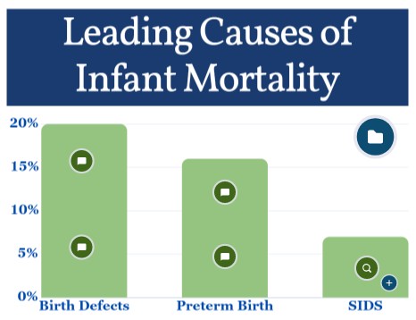 Causes of Infant Mortality | Genially