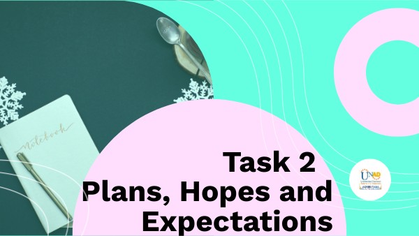 Task 2 - Plans, Hopes and Expectations