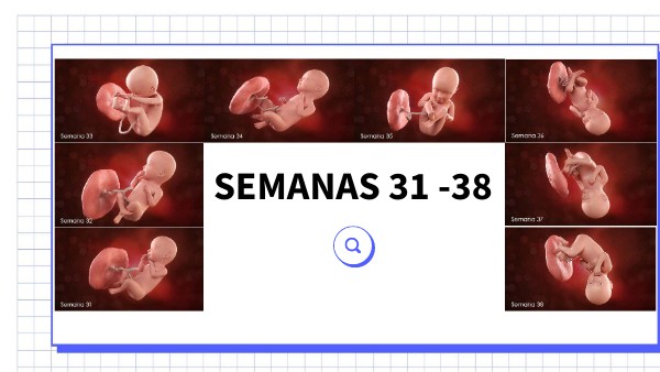 SEMANAS 31-38