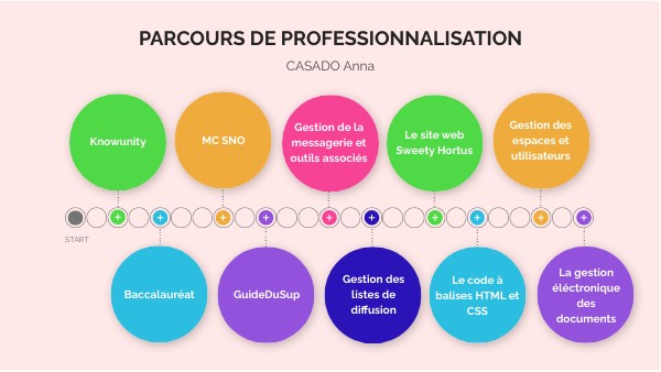 Parcours de professionnalisation