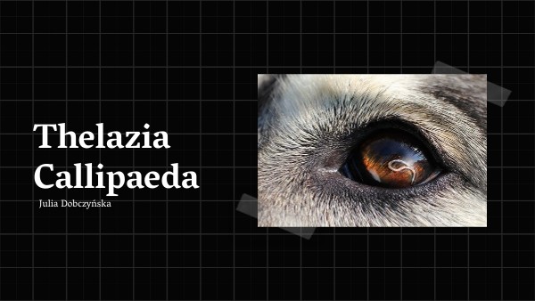 Thelazia callipaeda | Genially