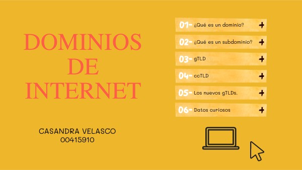 DOMINIOS DE INTERNET
