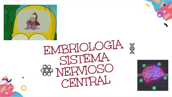 EMBRIOLOGIA SNC | Genially