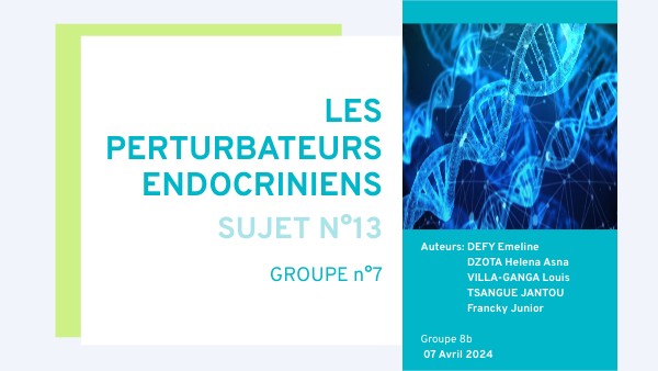 PFE enseignement supérieur fluide | Genially