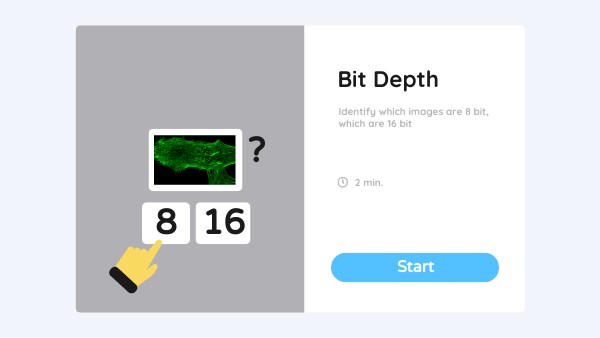Bit Depth | Genially