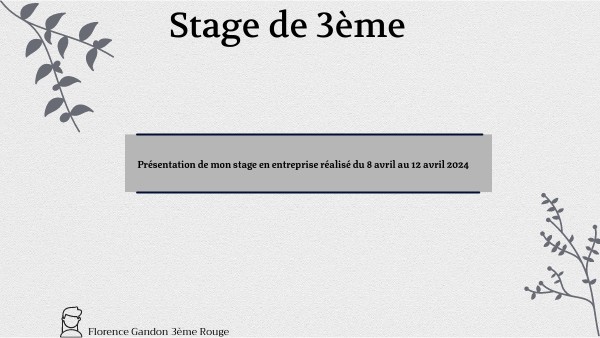 Oral de stage 3ème | Genially